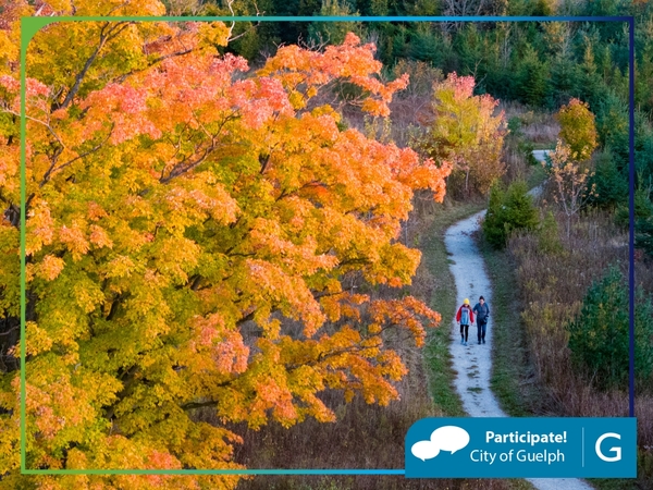 Community Engagement website – City of Guelph